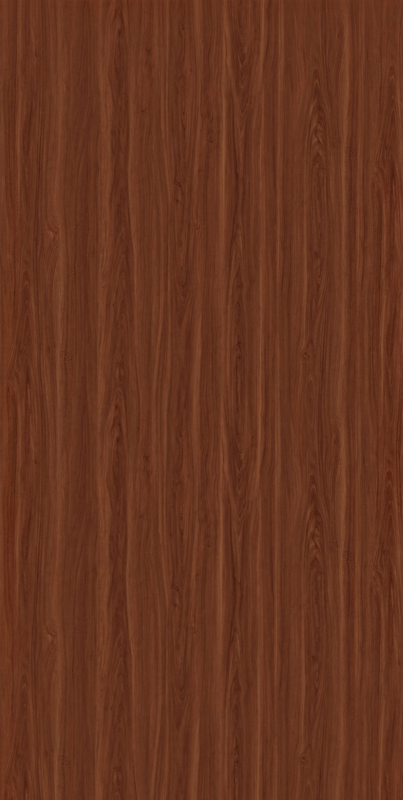 Carta HPL CT 5475 T – Amber Maple - KAYA MATERIAL
